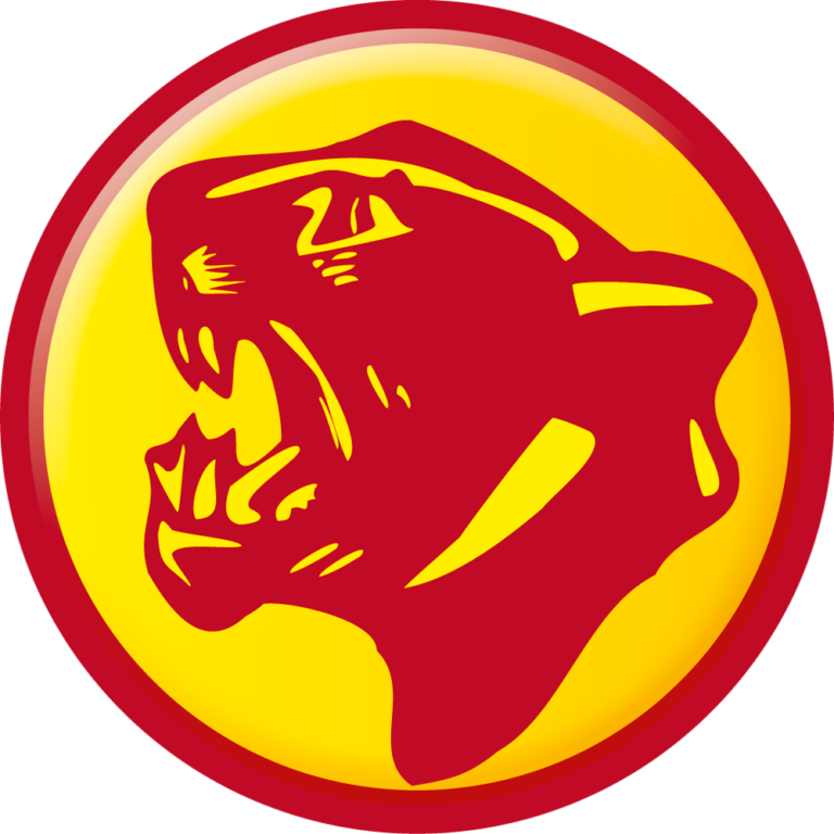 Roumen Κόλλες Πλακιδίων - Roumen